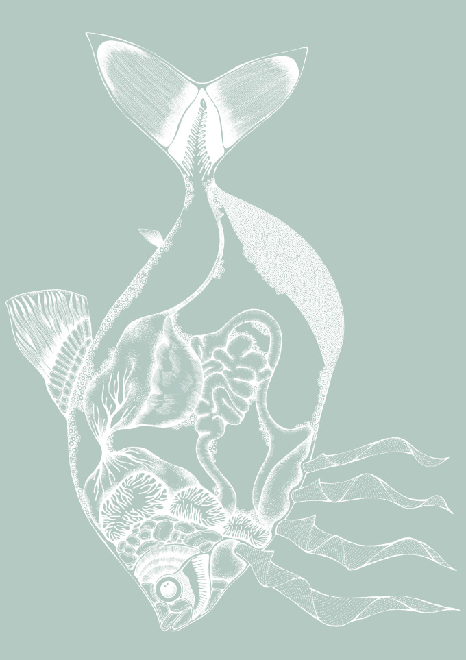 bestiaire-3 – L'atelier du poisson soluble